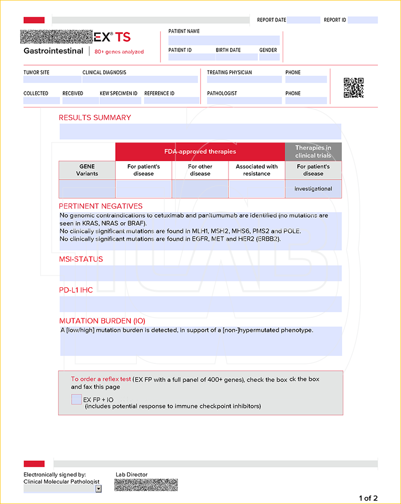 Adobe Dynamic Forms – T:LAB